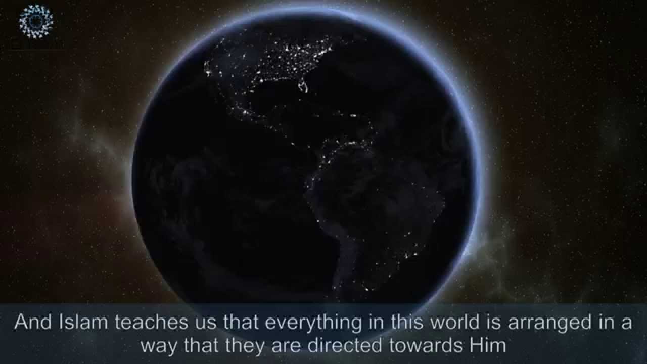 Tawhid: The Path to True Happiness | Al-Islam.org