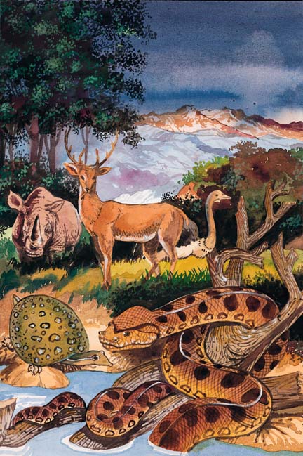 Snake And Savannah Animals | Al-Islam.org